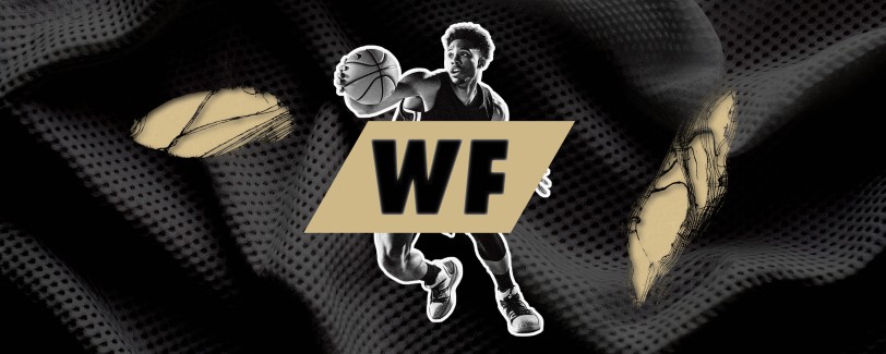 Wake Forest Demon Deacons Mens Basketball Tickets | Vivid Seats